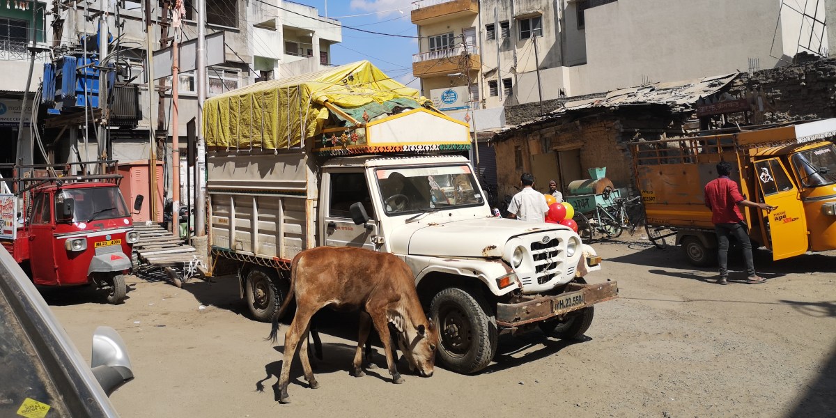 India: Photographs of Insignificant Moments